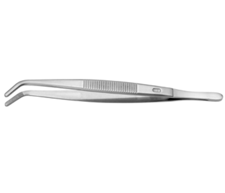 Pince Forte Courbe | Entomo Silex