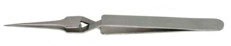 Pince Dumont ® N°5 Négative - Inox 02 | Entomo Silex