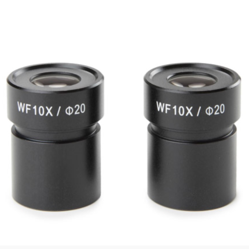 Paire d'Oculaires pour Loupes EUROMEX EduBlue | Entomo Silex