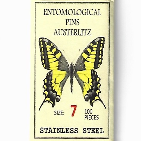 Epingles à Insectes AUSTERLITZ ® Inox ( x100 ) | Entomo Silex