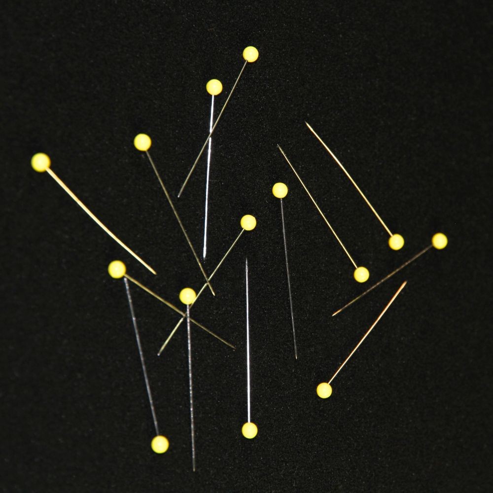 Epingles Têtes en Verre ( x50 ) | Entomo Silex