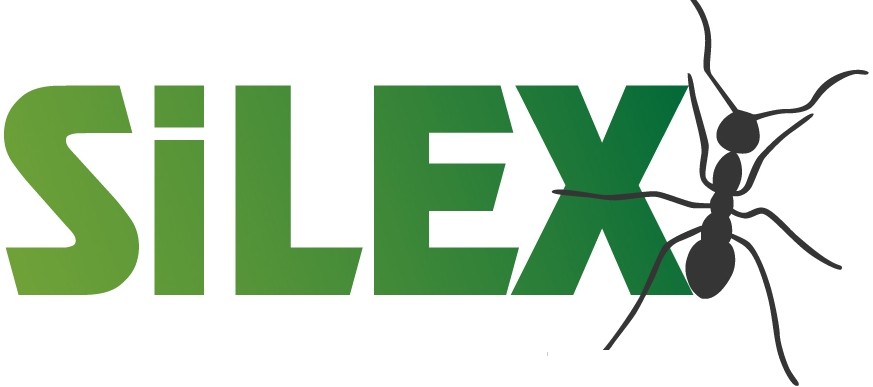 Baume du Canada Synthétique ENTELLAN | Entomo Silex