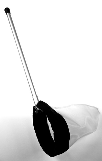 Filet Aubé | Entomo Silex